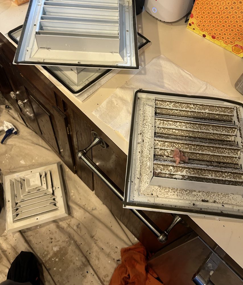 DIRTY DUCTS THE DUCTWORK EXPERTS - Updated December 2025 - 43 Photos ...