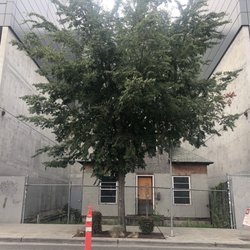 EDITH MACEFIELD’S HOUSE - 79 Photos & 40 Reviews - 1438 NW 46th St ...