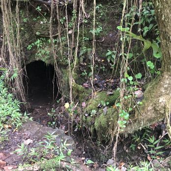 WAIMANO LOOP TRAIL - Updated January 2026 - 451 Photos & 90 Reviews ...