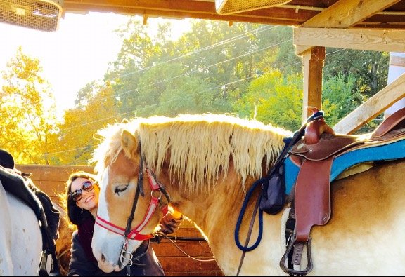 NATIONAL RIDING STABLES - Updated August 2025 - 11 Photos & 15 Reviews ...