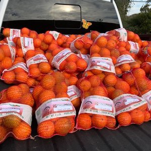 FRESNO REPROGRAPHICS - Updated July 2025 - 7295 N Palm Bluffs Ave ...