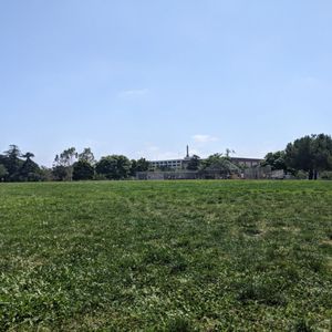 PAN PACIFIC PARK - 179 Photos & 189 Reviews - 7600 Beverly Blvd, Los ...