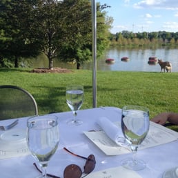 WATERLEAF RESTAURANT - Updated July 2025 - 86 Photos & 56 Reviews - 425 ...