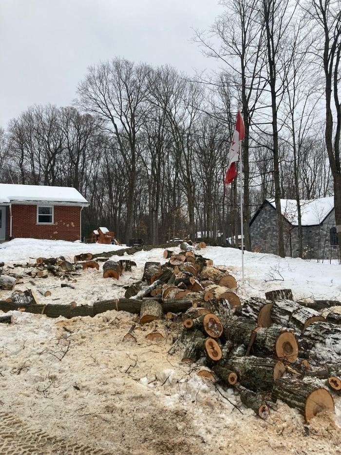 TREE WALKERS PROFESSIONAL TREE CARE - Updated March 2025 - Request a ...