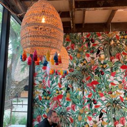 AMAZONICA - Updated July 2025 - 189 Photos & 121 Reviews - 5030 NE 2nd ...