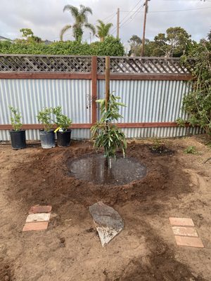 CLAUSEN NURSERY - Updated August 2024 - 102 Photos & 90 Reviews - 3132 ...