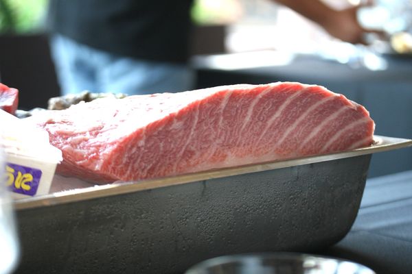 KIWAMI SUSHI & RAMEN - Updated December 2025 - 273 Photos & 80 Reviews ...