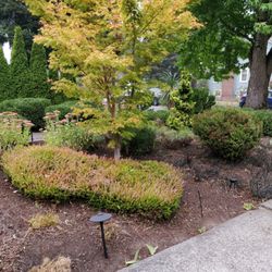 VAN’S LANDSCAPE - 90 Photos & 98 Reviews - Seattle, Washington ...