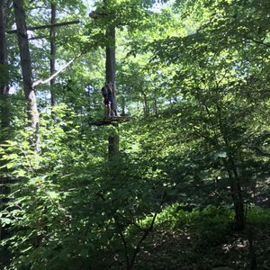 SKY HIGH ADVENTURE PARK - 63 Photos & 31 Reviews - 6557 Holiday Valley ...