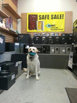 BOSTON LOCK & SAFE - Updated September 2025 - 53 Photos & 28 Reviews ...