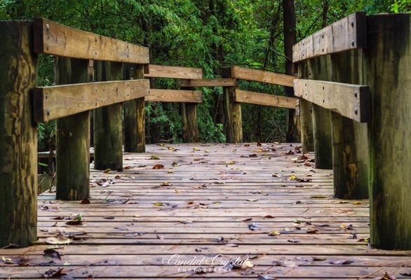 Jesse H Jones Park & Nature Center - See 99 Photos & 39 Reviews - Parks ...