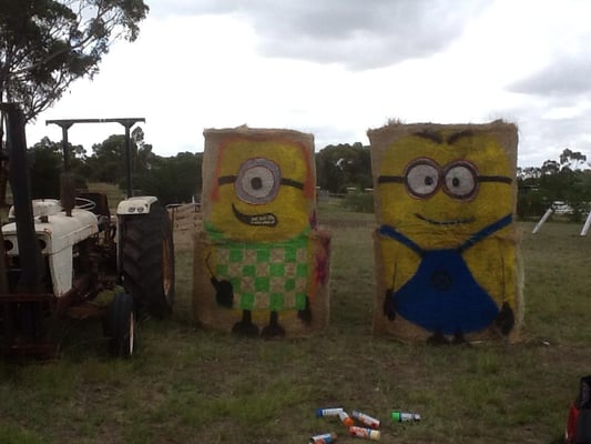 ANIMAL LAND CHILDREN’S FARM - Updated September 2024 - 10 Photos - 190 ...