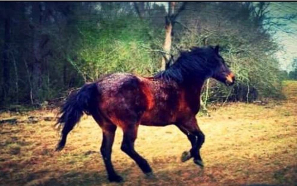 CHRISTUS ST. MICHAEL IMAGING CENTER - Updated December 2025 - 2500 St ...