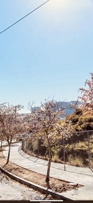 MIGUEL CONTRERAS LEARNING COMPLEX - Updated August 2025 - 22 Photos ...