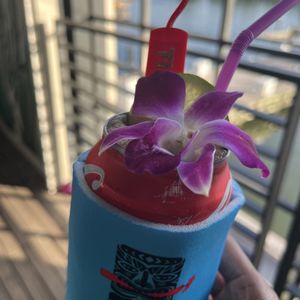 TIKI TNT & POTOMAC DISTILLING - 714 Photos & 397 Reviews - 1130 Maine ...