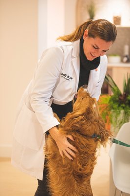 SMALL DOOR VETERINARY - WEST VILLAGE - Updated January 2026 - 63 Photos ...