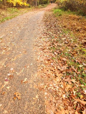 BWI BIKE TRAIL - Updated December 2025 - 84 Photos & 14 Reviews - 595 ...