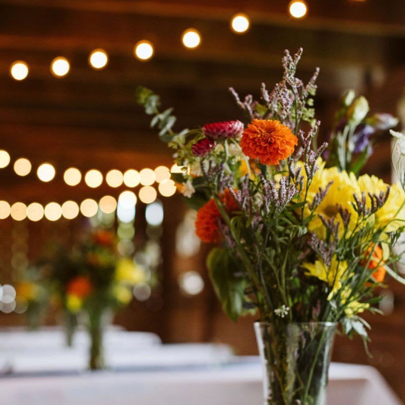 WILSON FAMILY FARM - Updated January 2026 - 22 Photos - 4809 Byrd Ln ...