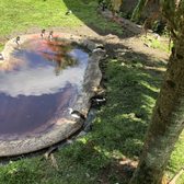 Pana’ewa Rainforest Zoo & Gardens - 548 Photos & 164 Reviews - Zoos ...