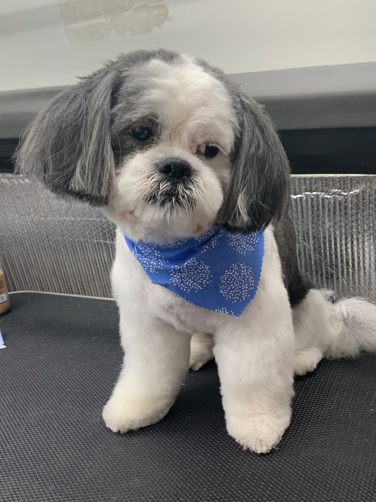 IT’S A DOG’S TAIL - Updated December 2024 - Catawba, South Carolina ...