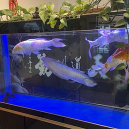 PEKING QUICK ONE - Updated March 2025 - 379 Photos & 235 Reviews - 359 ...