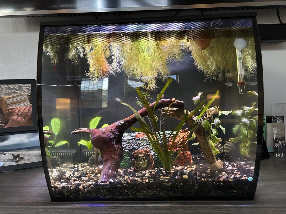 Marine Warehouse Aquarium - Updated June 2026 - 24 Photos & 53 Reviews ...