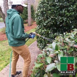 BULWARK EXTERMINATING - 20 Photos & 23 Reviews - Pest Control - 830 N ...