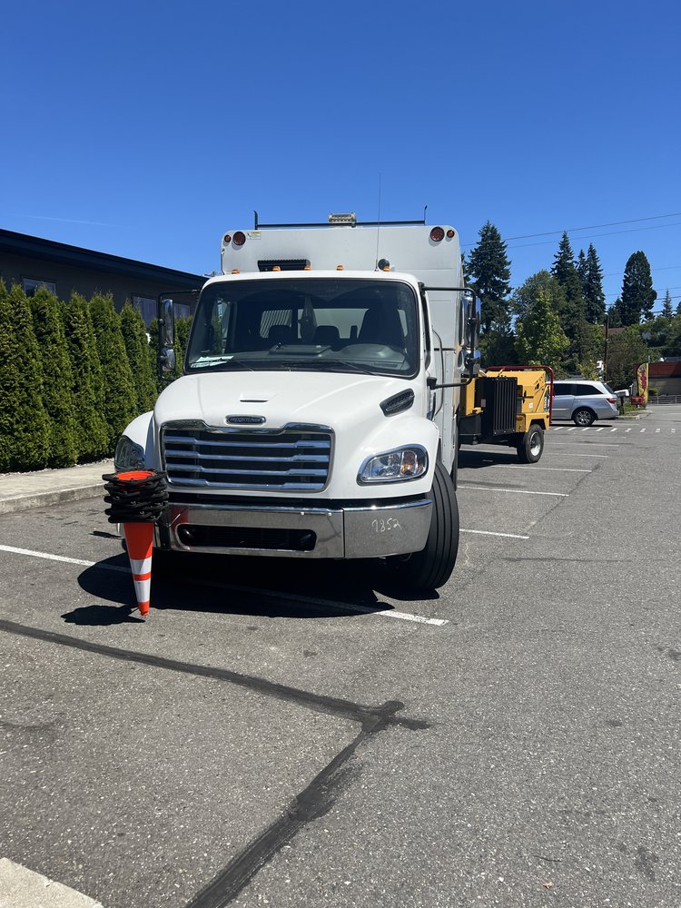 WASHINGTON TREE SERVICES - Updated December 2025 - 45 Photos - 19522 ...