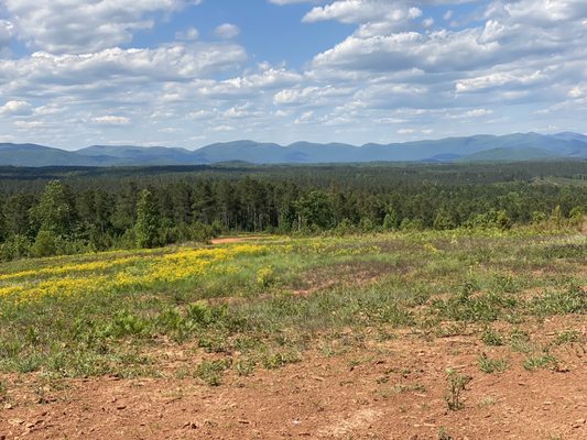 IRON MOUNTAIN PARK - 20 Photos & 15 Reviews - 116 Iron Mountain Parkway ...