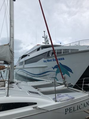 KEY WEST EXPRESS - 52 Photos & 72 Reviews - Ferries - 100 Grinnell St ...