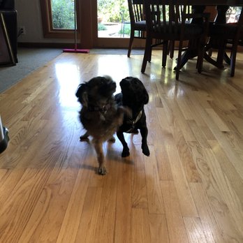 SOUTH COUNTY ANIMAL HOSPITAL - Updated December 2025 - 63 Photos & 144 ...