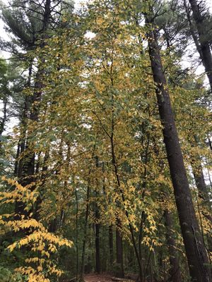 HAGGETTS POND - Updated October 2025 - 21 Photos - Haggett's Pond ...