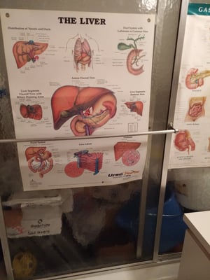 H. ALAN SCHNALL, MD - Updated October 2025 - 110-45 Queens Blvd, Forest ...