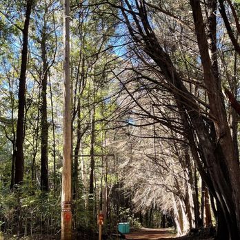 WAIHOU SPRING TRAIL - Updated September 2025 - 70 Photos & 21 Reviews ...