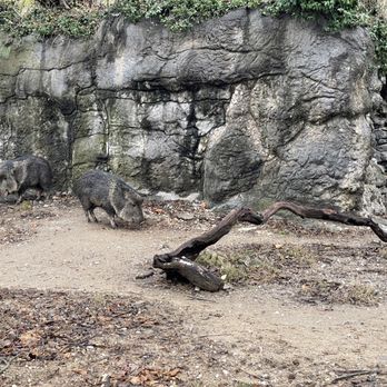 DICKERSON PARK ZOO - Updated October 2025 - 132 Photos & 50 Reviews ...