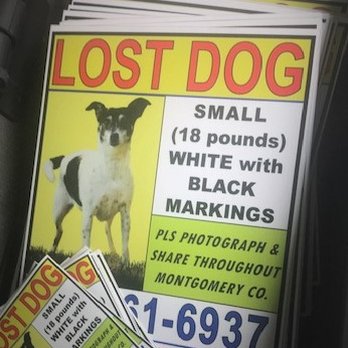 STERICO SIGNS & DESIGNS - Updated December 2025 - 8411 Helgerman Ct ...