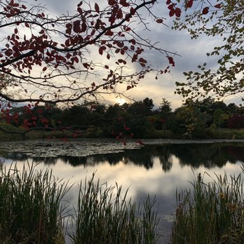 FRESH POND - Updated January 2026 - 66 Photos & 83 Reviews - 250 Fresh ...