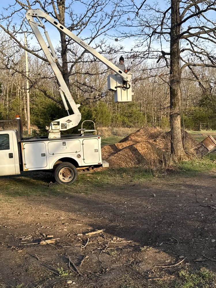 STEVENS TREE SERVICE - Updated April 2025 - Request a Quote - Fair Grove, Missouri - Tree ...
