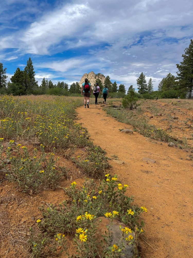 DESERT WANDER - Updated June 2024 - St. George, Utah - Hiking - Phone ...