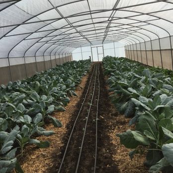 BLOOM RANCH OF ACTON - Updated April 2025 - 125 Photos & 49 Reviews ...