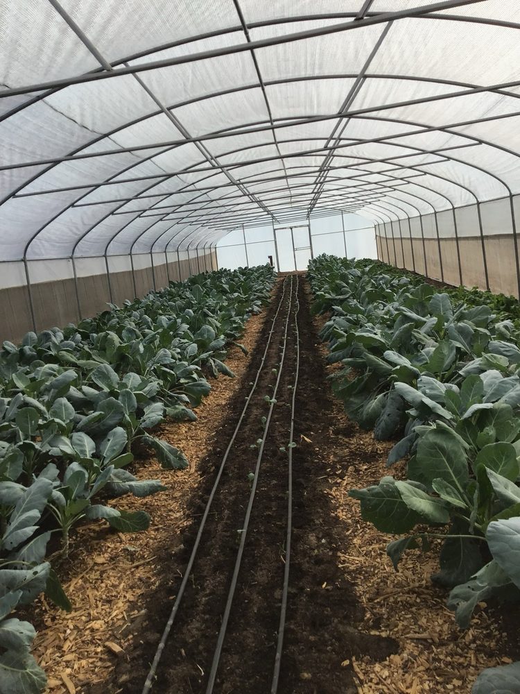 BLOOM RANCH OF ACTON - Updated September 2024 - 49 Photos & 29 Reviews ...