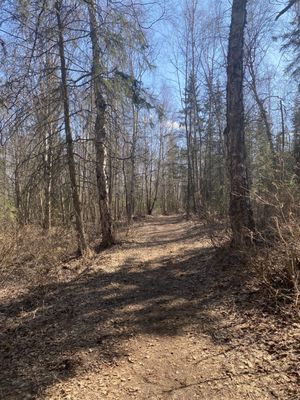 ARNOLD L. MULDOON PARK - Updated April 2024 - 15 Photos - 7600 E ...