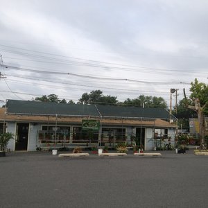 SPRINGDALE FARM MARKET - Updated December 2025 - 43 Photos & 50 Reviews ...