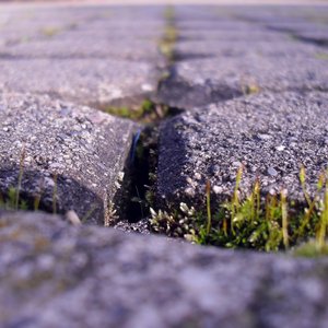 EAST PORTLAND COMMUNITY CENTER - Updated January 2025 - 13 Photos & 31 ...