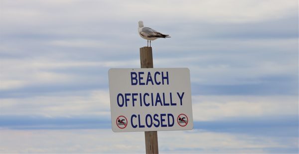 ISLIP TOWN BEACH - Updated May 2025 - 34 Photos - 600 S Bay Ave, Islip ...