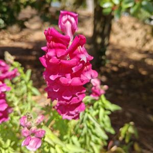 HALL COUNTY PUBLIC LIBRARY - Updated November 2025 - 6488 Spout Springs ...