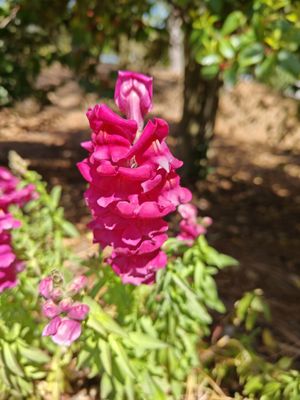 ALPHARETTA PUBLIC LIBRARY - Updated July 2025 - 49 Photos & 19 Reviews ...