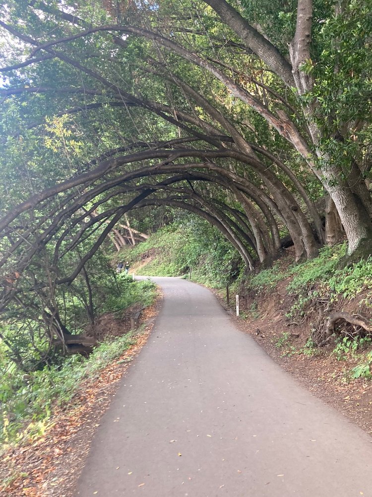 ALAMEDA EYES OPTOMETRY - Updated September 2025 - 20 Photos & 111 ...