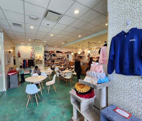 REGAL CAT CAFE - Updated January 2026 - 148 Photos & 44 Reviews - 303 ...