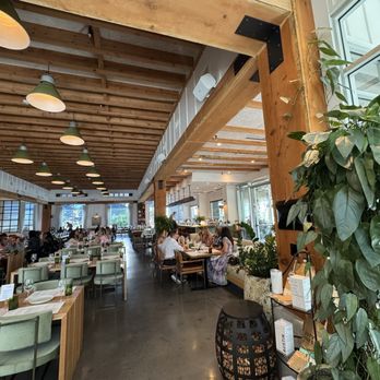 SIXTY VINES - Updated June 2025 - 812 Photos & 344 Reviews - 1415 ...